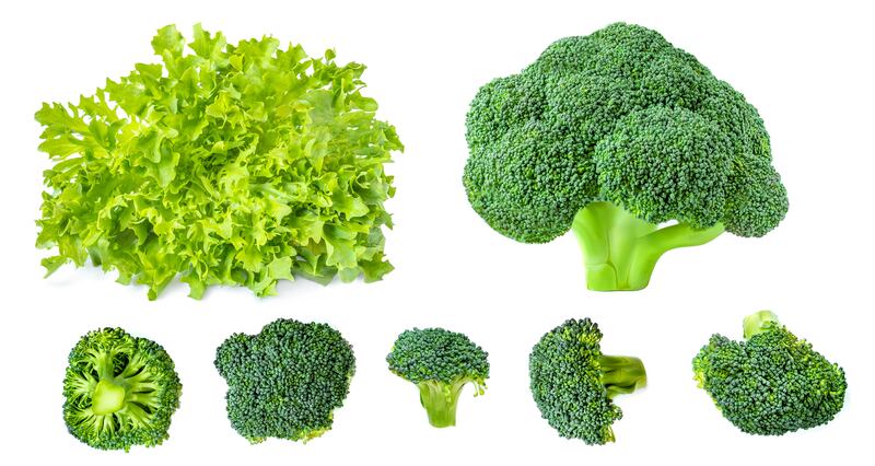 Virtudes y beneficios por el consumo de lechuga – Metro Puerto Rico