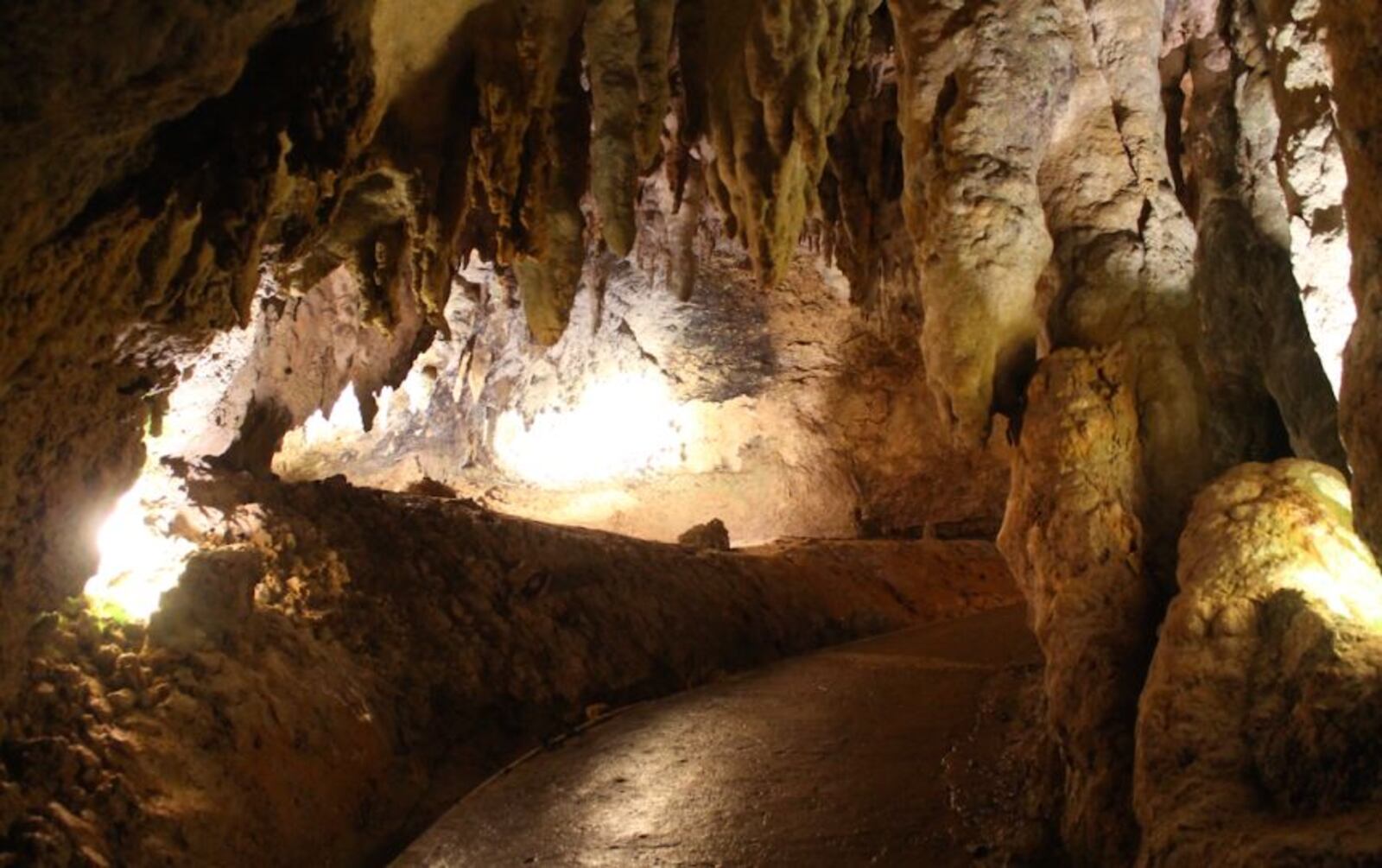 Las Cavernas de Camuy: una maravilla antigua y natural – Metro Puerto Rico