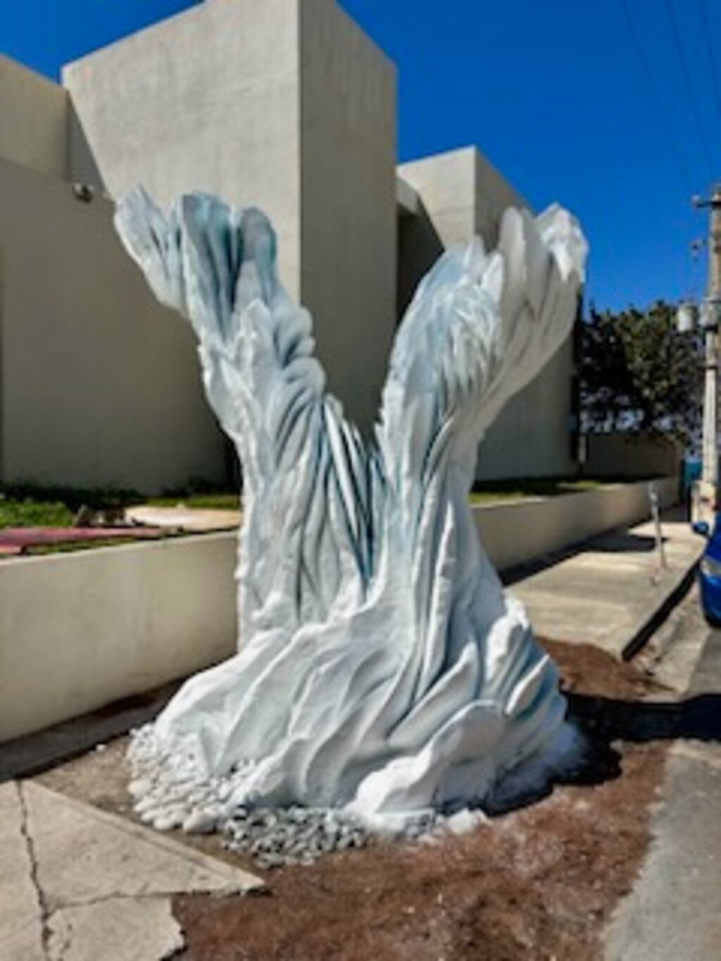 Artista crea obra de arte al tallar un árbol que adornará la zona de ...