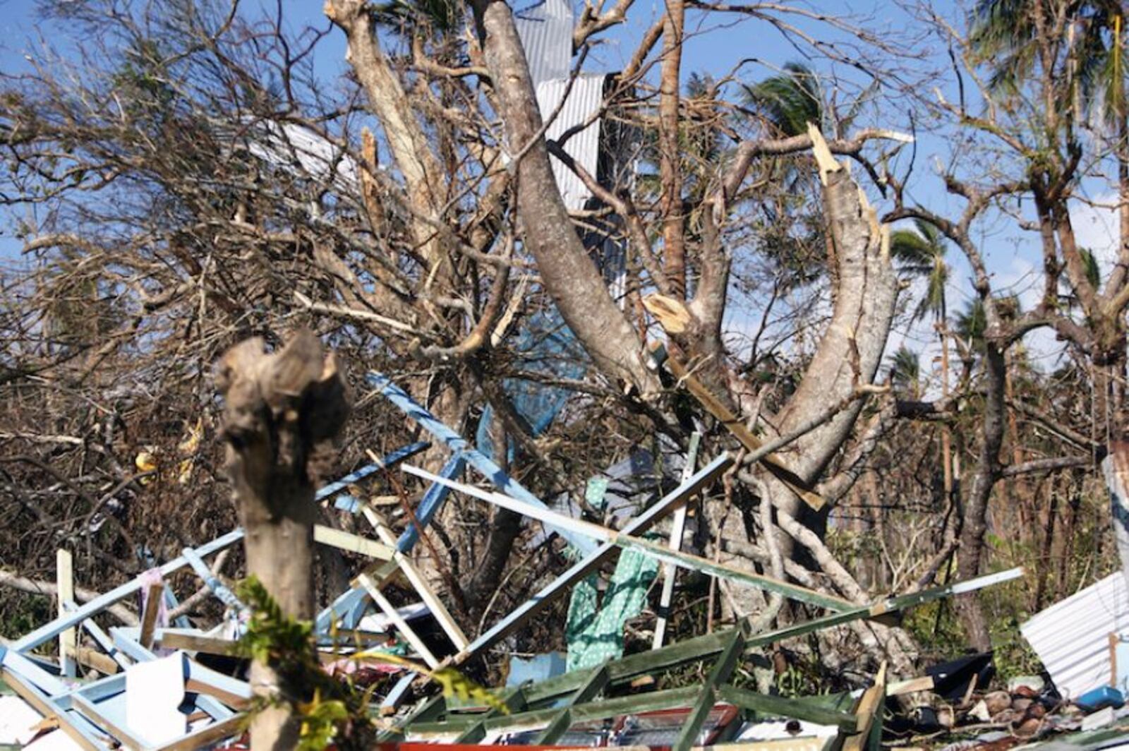 Hombre de Vanuatu sobrevive a volcanes, sismos y ciclones – Metro ...