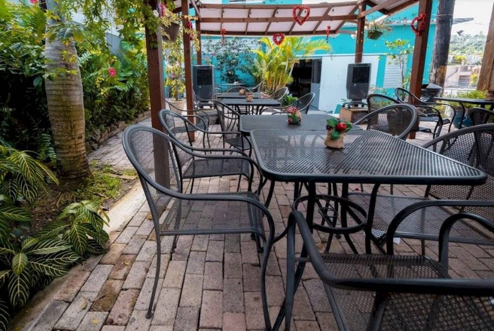 Don Pello: un café boricua excepcional – Metro Puerto Rico